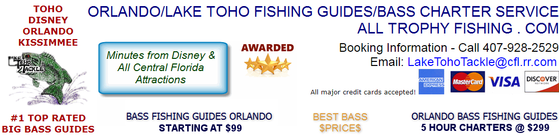 All Trophy Fishing with Capt. Bill Whipple – Sport Fishing FL